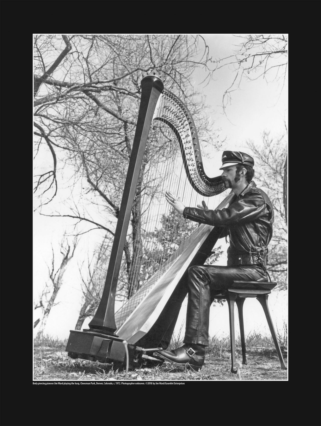 Jim Ward Playing the Harp Poster—Large